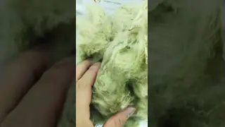 Polyester Staple Fiber 015