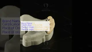 Precision Ball Attachment Dentures No Visible Clasps