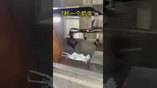 Automatic Spraying Machine for Plastic Toy Coating