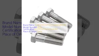 High Precision Super Duplex Stainless Steel Shoulder Bolts