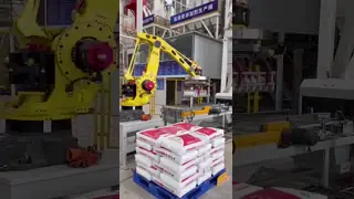 FANUC Palletizing Robot Automatic Robotic Palletizer for Bags Cartons Boxes Packaging Line