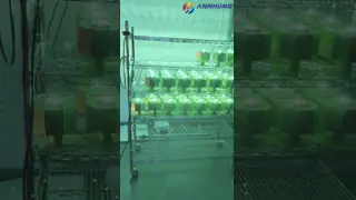 We are a professional manufacturer for Aviation Obstruction Light,LED Marine Light, Solar Airport Li