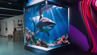 Indoor Ultra-HD Fine-Pitch 3D LED Display – Bringing Products to Life for Retail Showcases