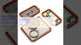 Elegant Metal Arc Jewelry Tray for Organized Display