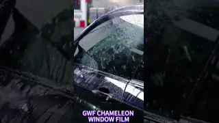 Blue-purple Chameleon Window Film