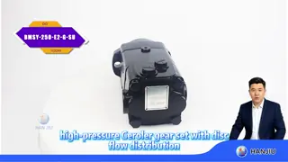 BMSY-250-E2-G-SU Hydraulic Motor