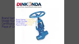 DINKONDA Low Temperature Globe Valve for LNG and Chemical