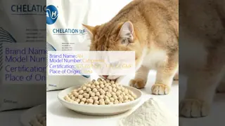 Premium Cat Food Premix for Optimal Health and Nutrition