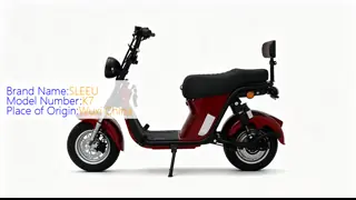 SLEEU Retro Electric Scooter Custom High Power Harley Style