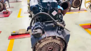 WP12 diesel engine（show）