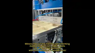 Food Container Thermoforming Mold Trial for Meal Tray Production