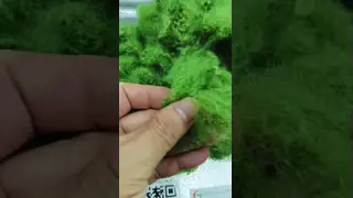Polyester Staple Fiber 013