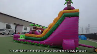 Commercial Pink Tropical Water Slide for Party Rentals