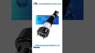 Tech Master TMAIRSUS Air Suspension Strut Mercedes-Benz W221 S-Class