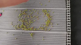 Food Grade Metal Chain Driven Spiral Mesh Stainless Steel Wire Belt for Oven Furnace