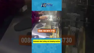 Automatic Transfer Label Cutting & Heat Pressing Machine | Precision Logo Application for Footwear
