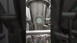 Fluidized bed granulation dryer 2