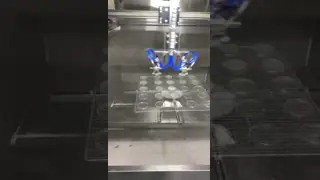 Precision Automatic Coating Line for Plastic Bottle Caps