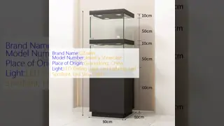 Elegant Jewelry Display Case with LED Lighting