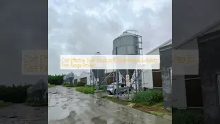Cost Effective Steel Structure Chicken House Solutions
