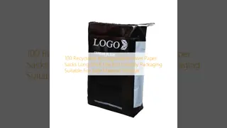 Premium Kraft Paper Valve Bags for Industrial Powder Storage
