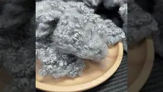 3D Hollow graphene fiber gray