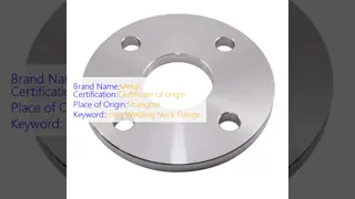 Custom UNS32750 Forged Steel Flanges Precision Machined