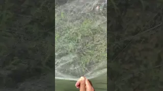 Insect net, insect screen, garden netting, plastic mesh, window screen
