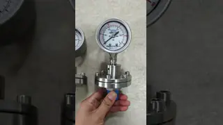 Stainless Steel Diaphragm Seal Pressure Gauge Durable Industrial Solution