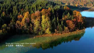 Figured Maple Decorative Paper for HPL and Other Wood-Based Substrate Laminates