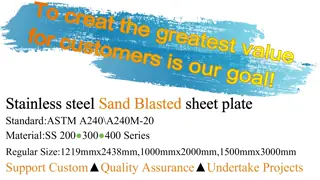 Winsco Gold Bead Blasted Titanium SS Bead Blasted Stainless steel