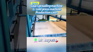 Malaysian customer produces stainless steel doors