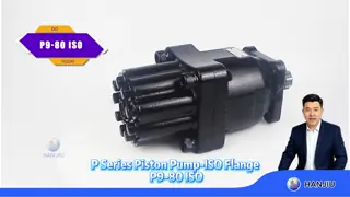 P9-80 ISO Hydraulic Products
