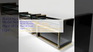 Luxury Black and Gold Jewelry Display Showcase