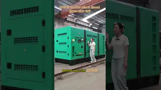 WOPUSAI 250kVA Silent Diesel Generator Industrial Power