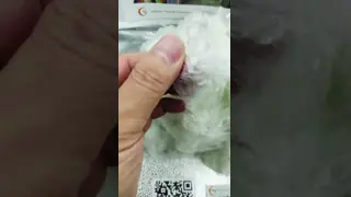 Polyester Staple Fiber 002