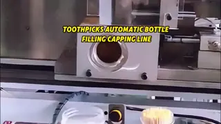 Automatic bottled toothpicks filling capping packing line