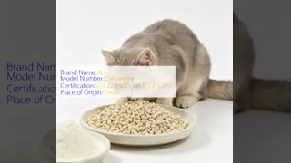 Complete Cat Nutrition Premix for Healthy Feline Food