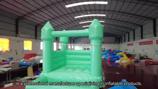 Mint Green Inflatable Bounce House and Ball Pit Fun
