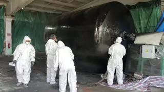 foam filled fender