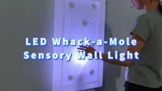 LED Sensory Game Table Interactive Whac A Mole Toy