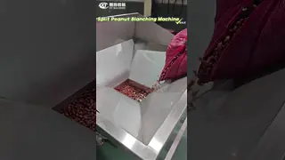 Improve peanut butter flavor and shelf‑life: remove peanut germ with a peanut splitting machine