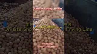 Full automatic peanut frying production line | Mass production of crispy peanuts#coating #frying