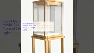 Luxury Champagne Gold Jewelry Display Case with LED Lighting