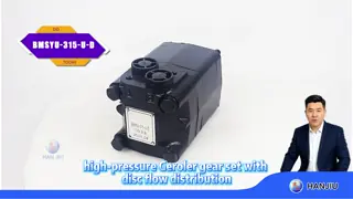 BMSYU-315-U-D Hydraulic Motor