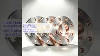 CuNi C70600 Slip On Flange Marine Corrosion Resistant