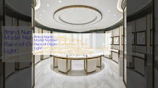 Luxury Gold Jewelry Display Case for High End Boutiques