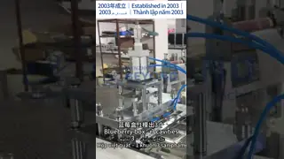 DH450 Plastic Container Making Machine | Blueberry Containers, 3-Cavity Mold