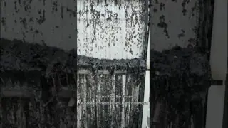 Rotary-Rake Bar Screen | Wastewater Pretreatment Debris Removal