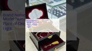 Elegant Large Capacity Jewelry Case Portable Travel Organizer